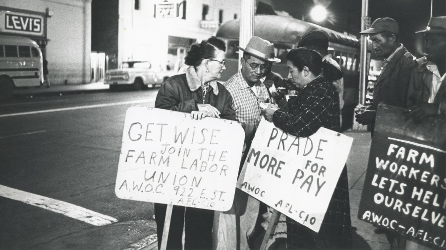MARIA MORENO AND HER FIGHT FOR AMERICA’S FARMWORKERS | LATINO PUBLIC ...