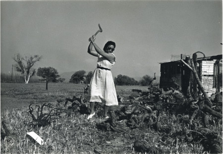 MARIA MORENO AND HER FIGHT FOR AMERICA’S FARMWORKERS | LATINO PUBLIC ...