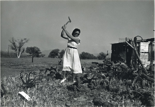 MARIA MORENO AND HER FIGHT FOR AMERICA’S FARMWORKERS | LATINO PUBLIC ...